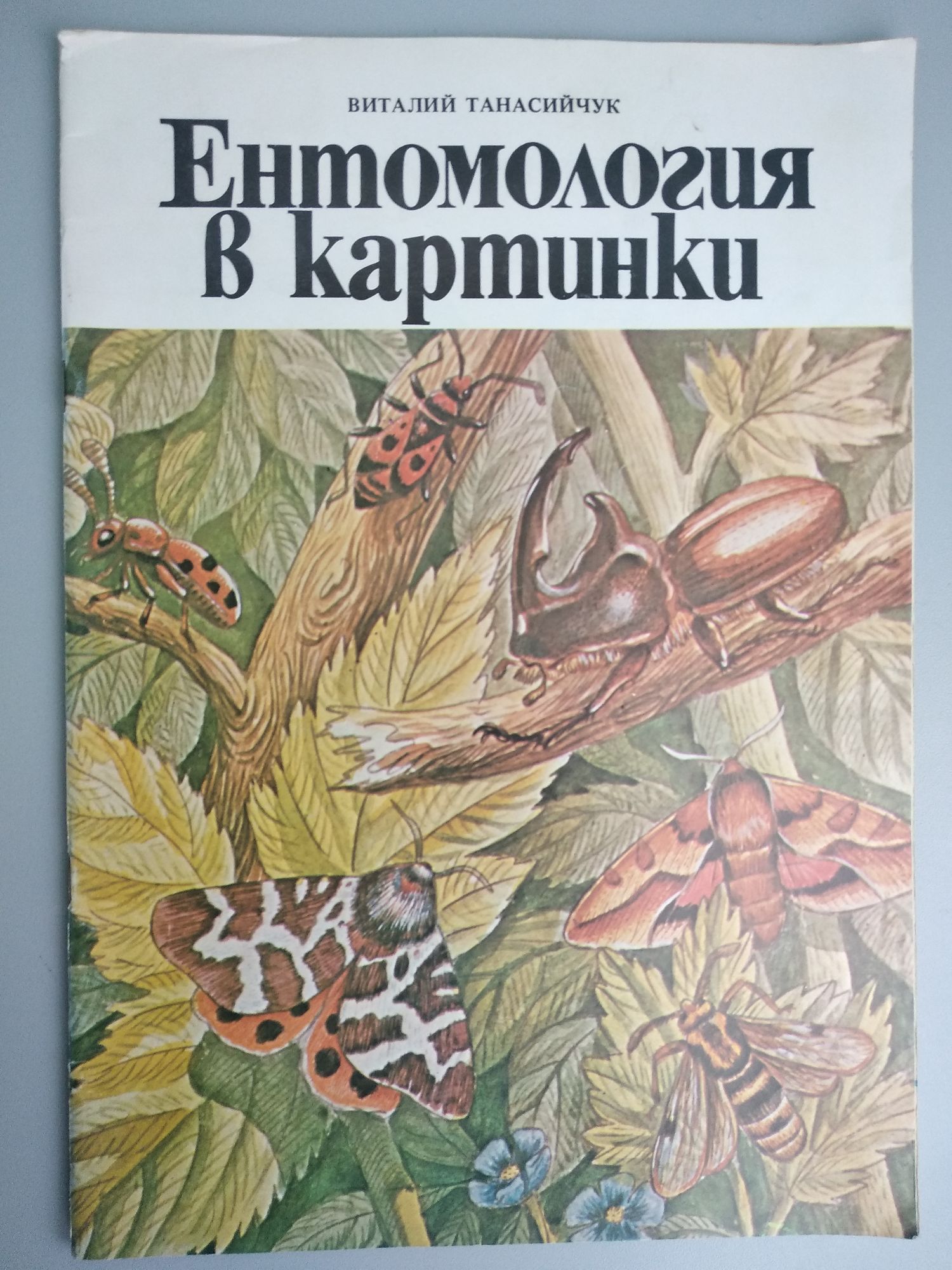 Ентомология в картинки | Ортограф - антикварна книжарница