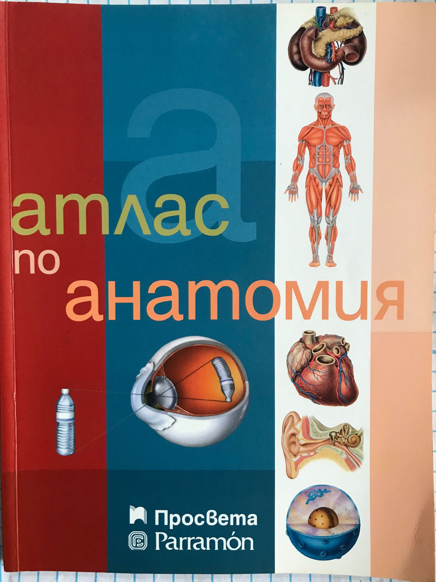 Атлас по анатомия | Ортограф - антикварна книжарница