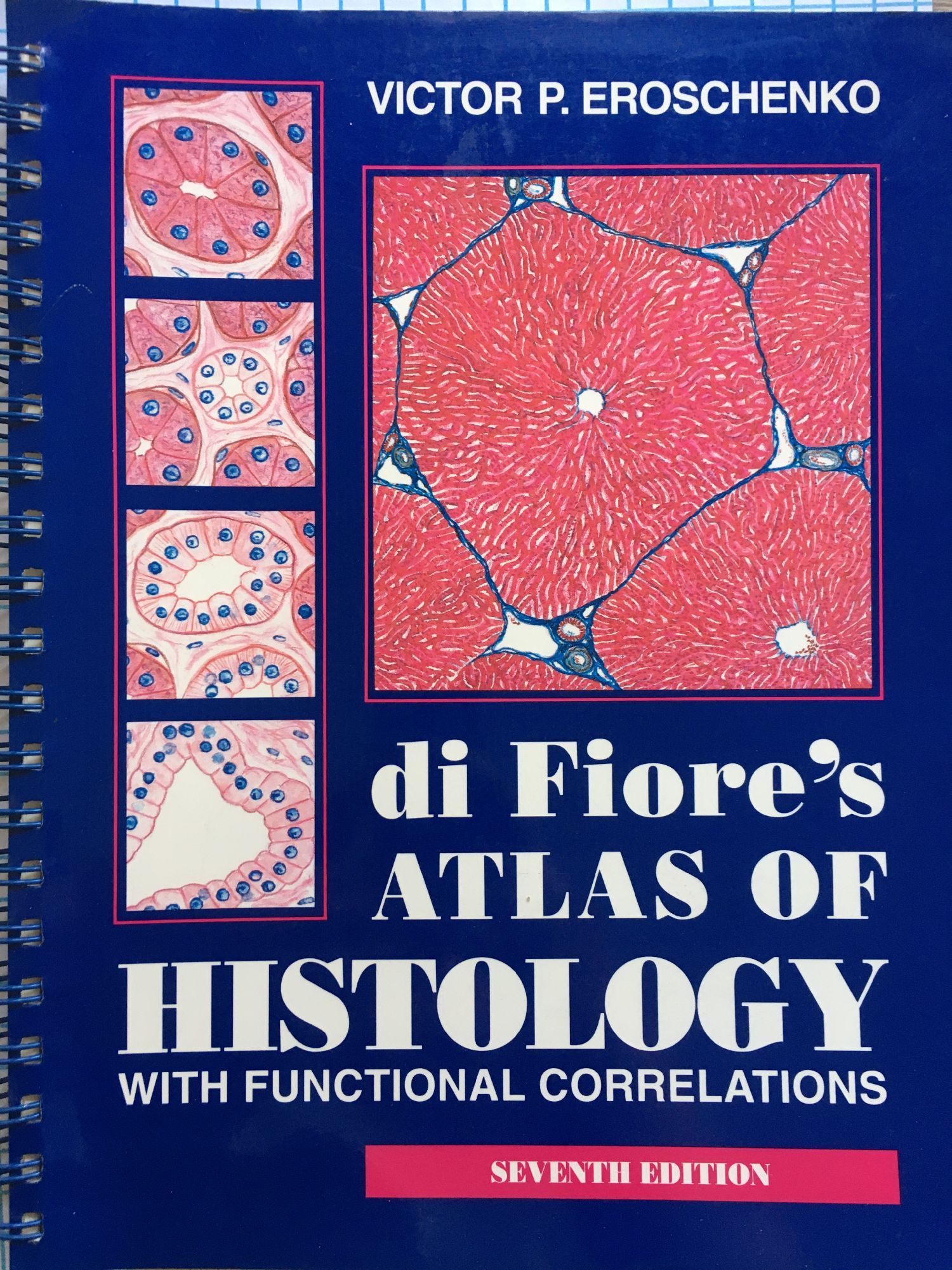 di Fiore's Atlas of Histology: With Functional Correlations | Ортограф ...
